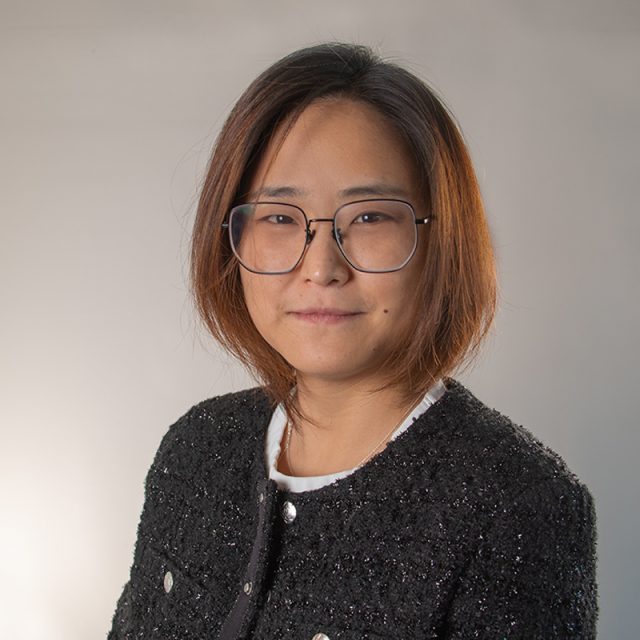 Expertise - Virtual Engineering Centre